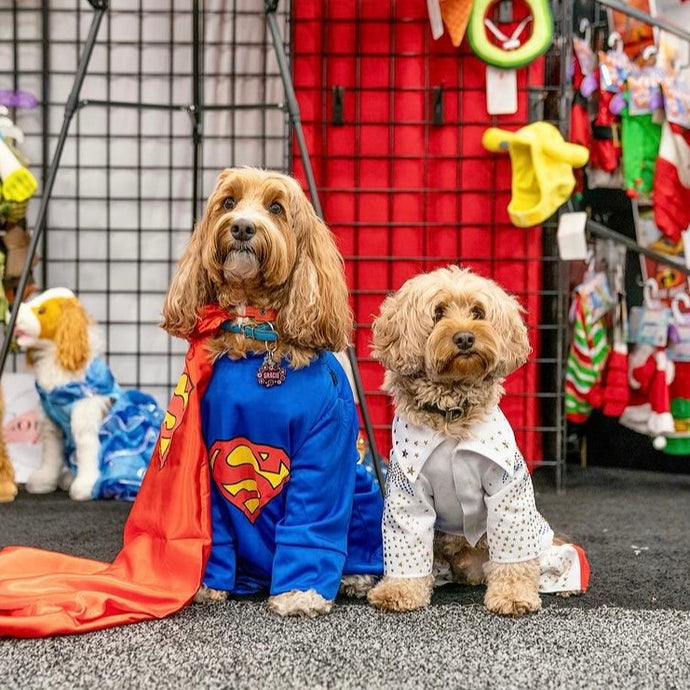 Upcoming Shows & Events – Rubies II LLC.