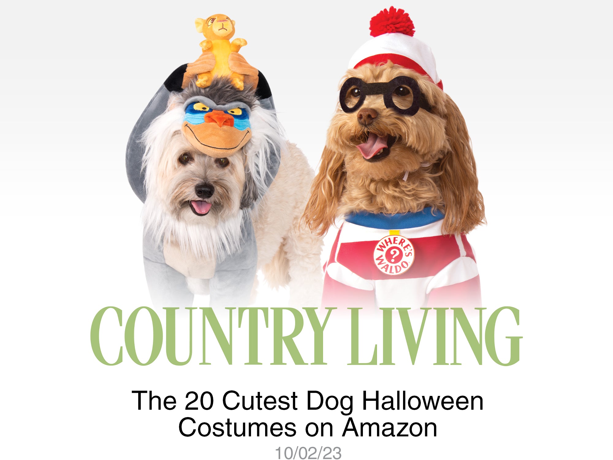 Rubies – Rubies II LLC.